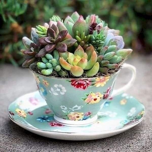 Cómo Convertir Tazas En Macetas De Decoración