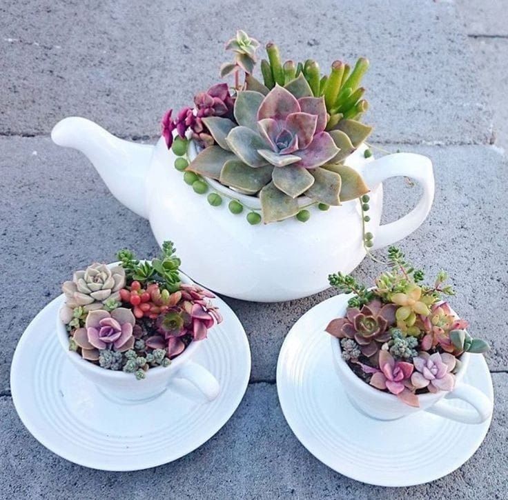 Cómo Convertir Tazas En Macetas De Decoración