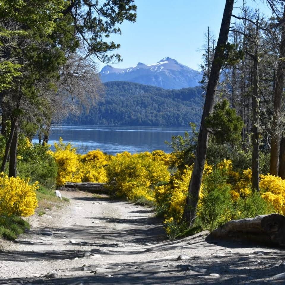 Bokep tante ngewe bocil