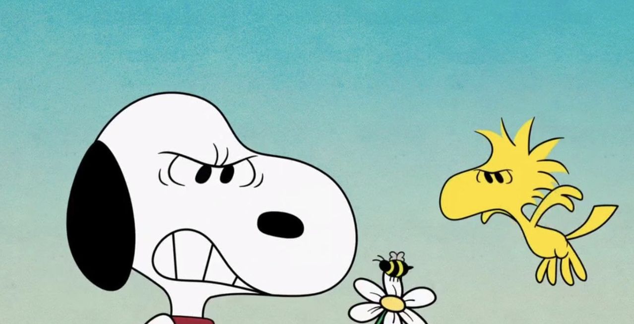 Todas las curiosidades sobre la raza de Snoopy y qué hace tan especial ...