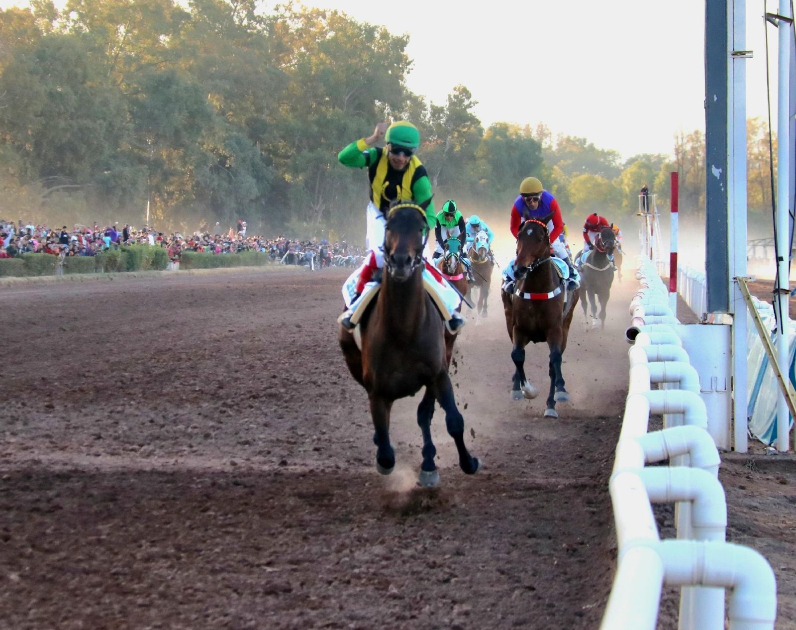 Code Breaker es el nuevo “patrón” del turf mendocino