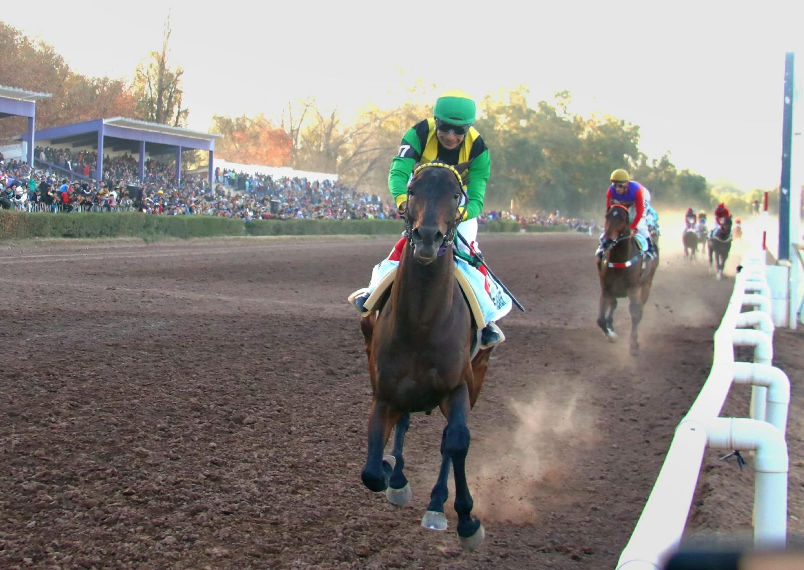 Code Breaker es el nuevo “patrón” del turf mendocino