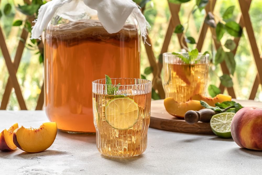 Cómo hacer kombucha casera: guía paso a paso para principiantes