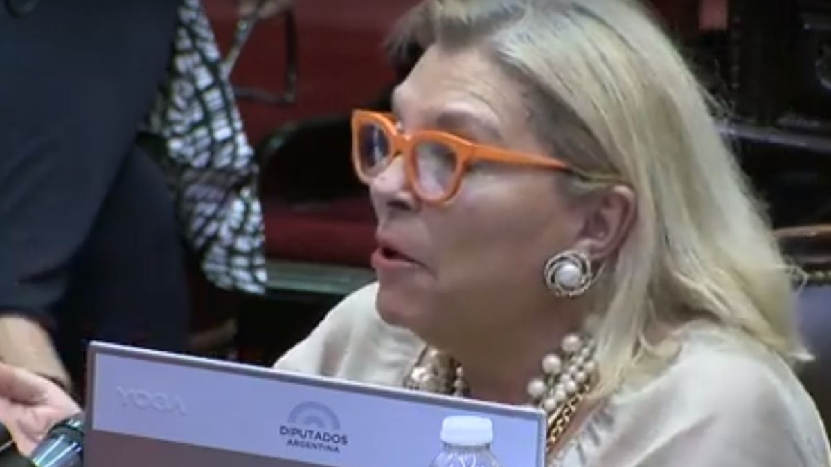 Lilita Carrió denunció un golpe institucional contra la Justicia