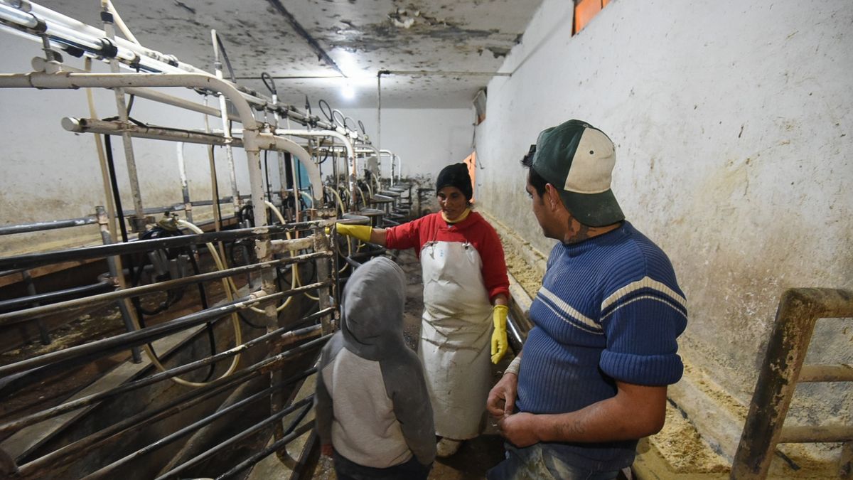 El lado B del dólar agro: por qué pueden subir los precios de los lácteos