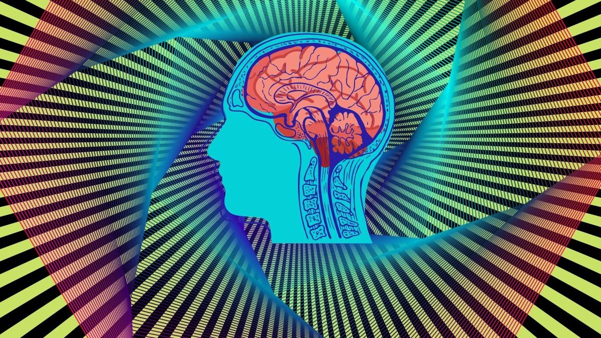 Solo el 5% de las personas pueden resolver este test visual en menos de ...