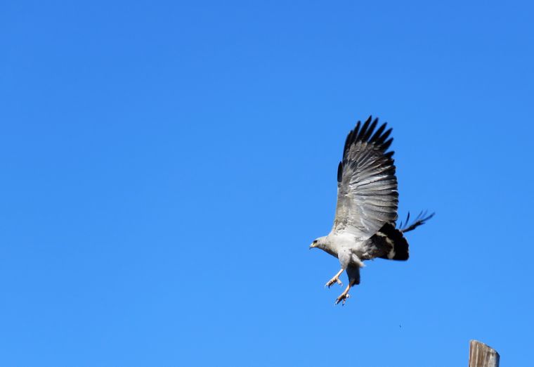 Bokep.news that appearance are special as well as reserved,