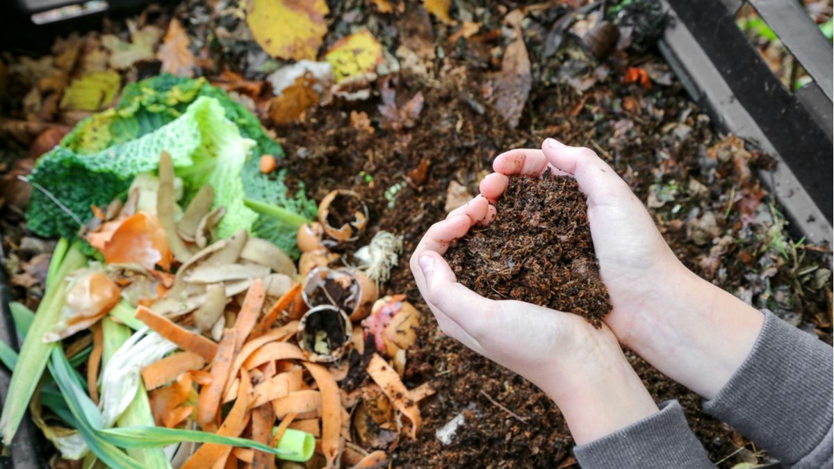 Paso a paso: así puedes hacer compost en baldes de jardín