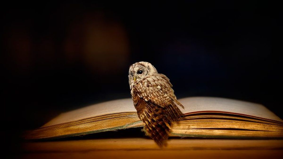 Peripatéticos: filósofos y pensadores, en MDZ