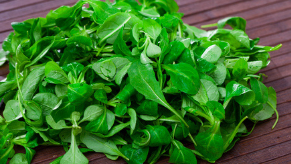 Con rúcula: aprende una fresca ensalada de fin de año