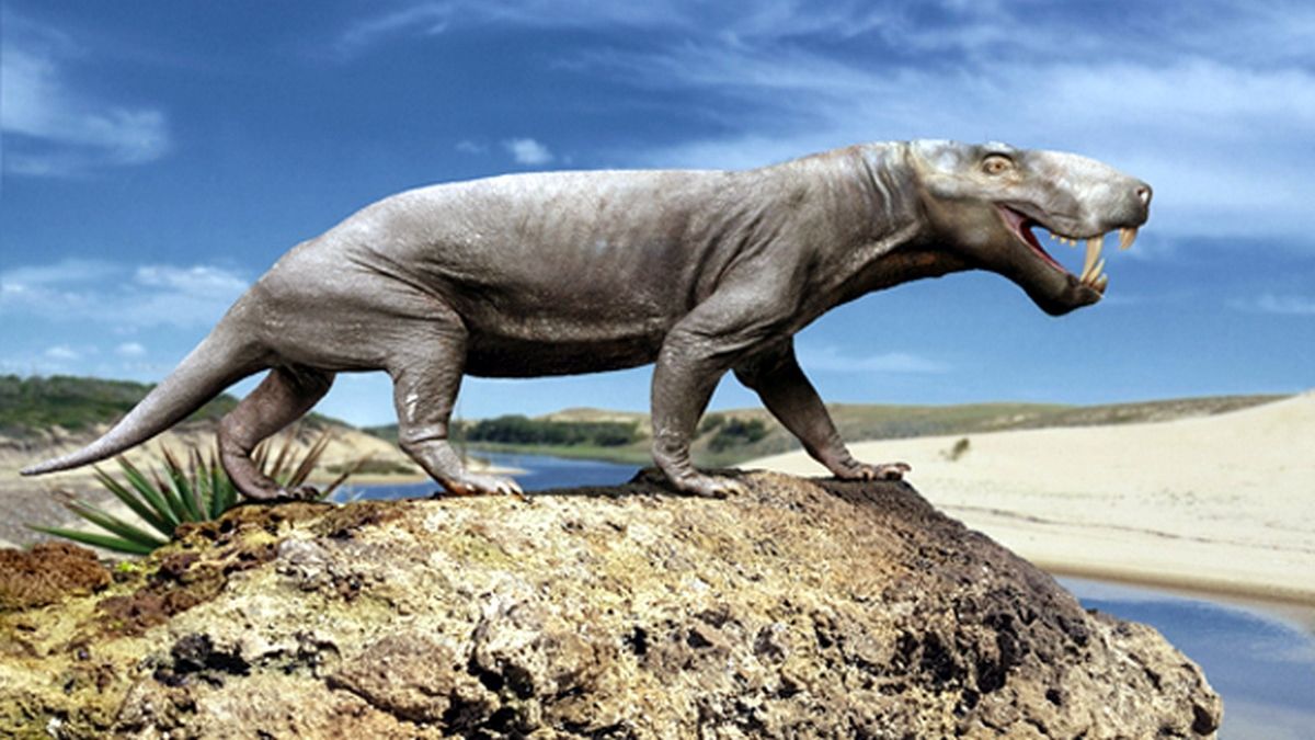 Gran descubrimiento: dos extinciones masivas fueron desatadas por ...