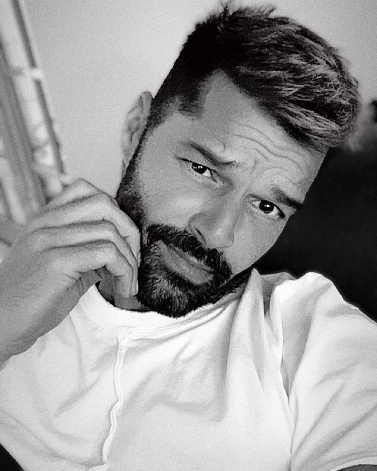 Ricky Martin fue fotografiado in fraganti en el baño de su increíble ...