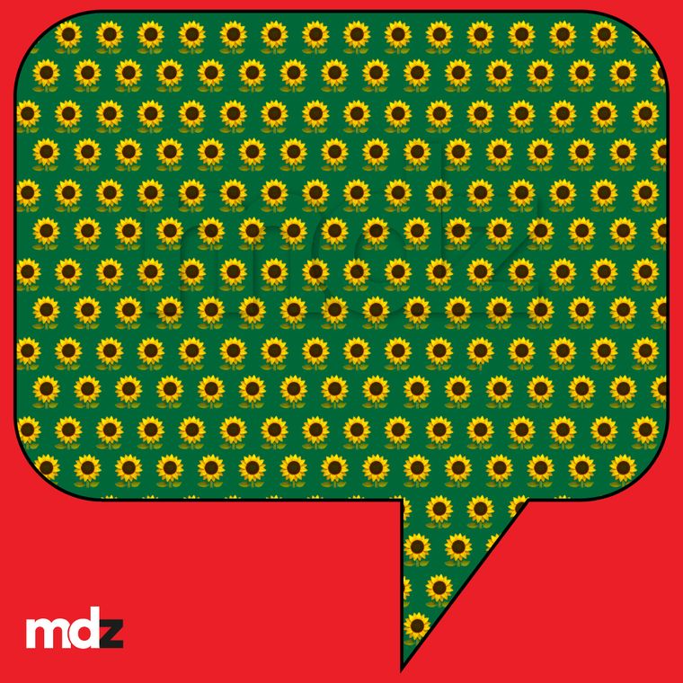 Acertijo visual: solo las personas con vista de halcón logran ver el ...