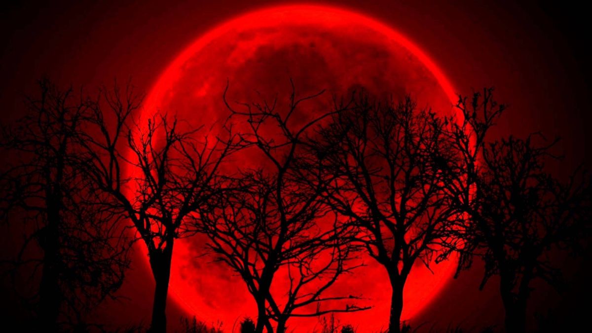 Luna roja de marzo 2026: cuándo se verá el eclipse y qué partes de ...