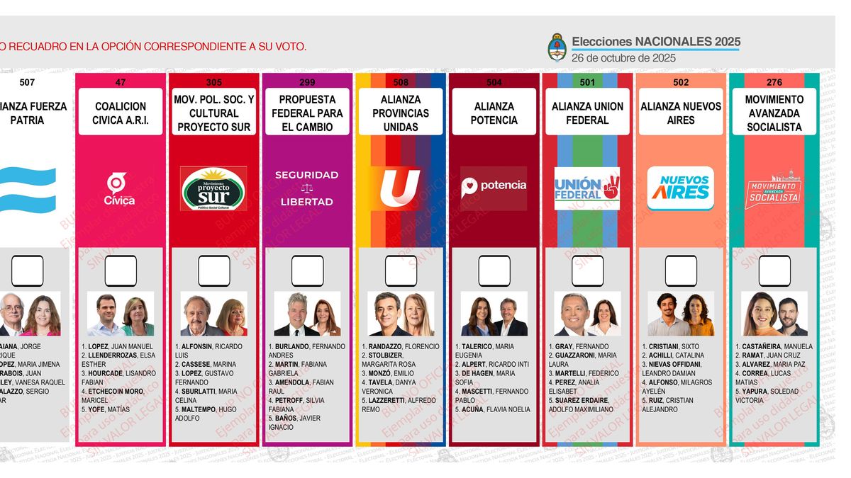 Voto en blanco o nulo: cómo hacerlo con la Boleta Única de Papel (BUP)