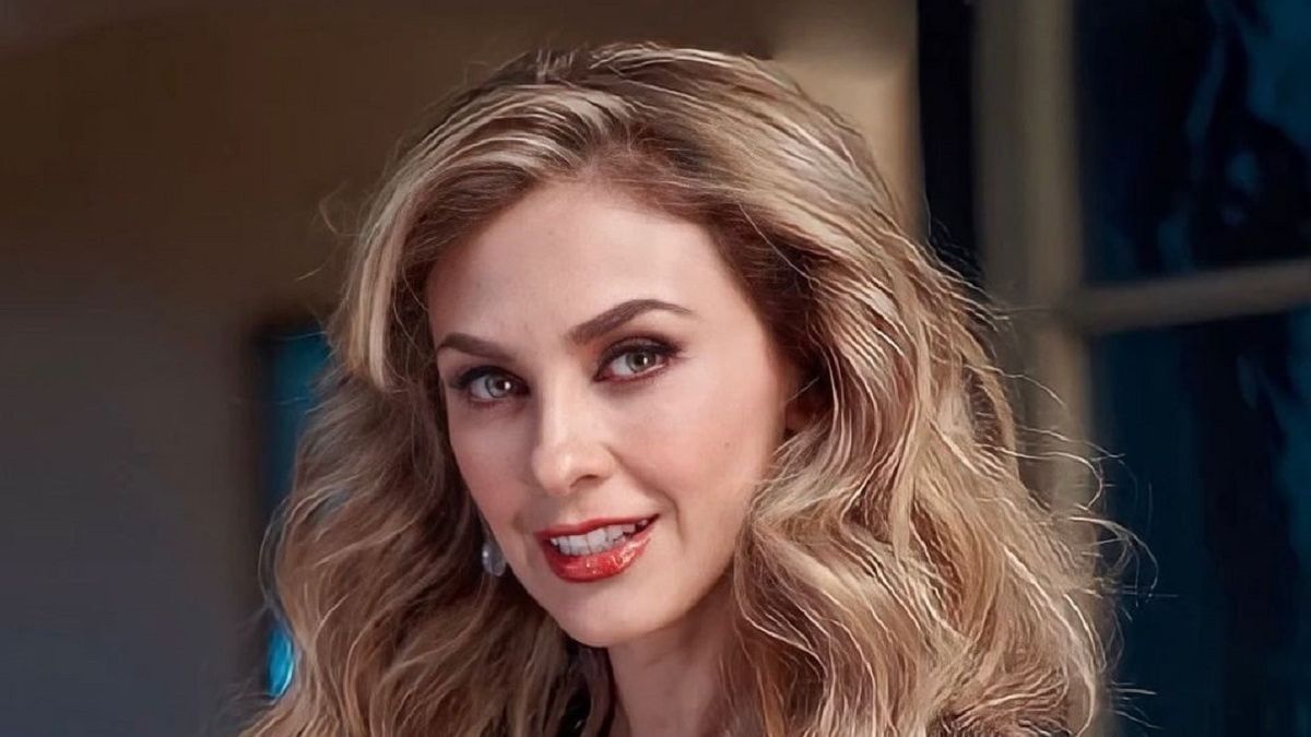 Aracely Arámbula, ex de Luis Miguel, lució unas transparencias que ...