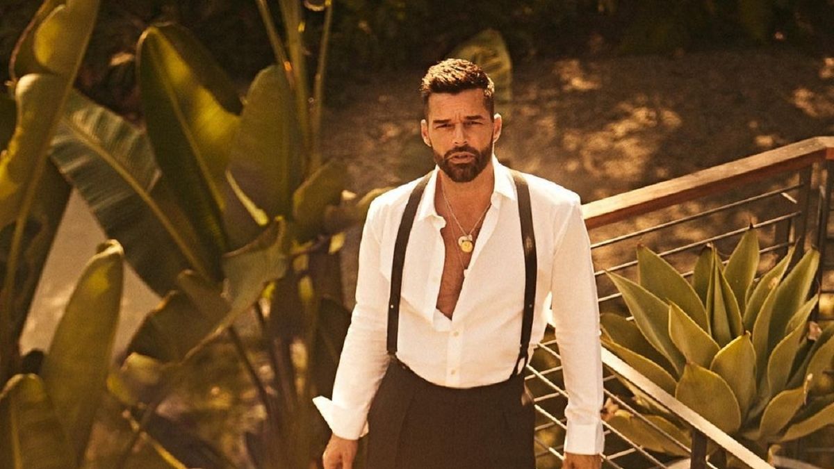 El gracioso meme de Ricky Martin que se hizo viral y podría poner ...