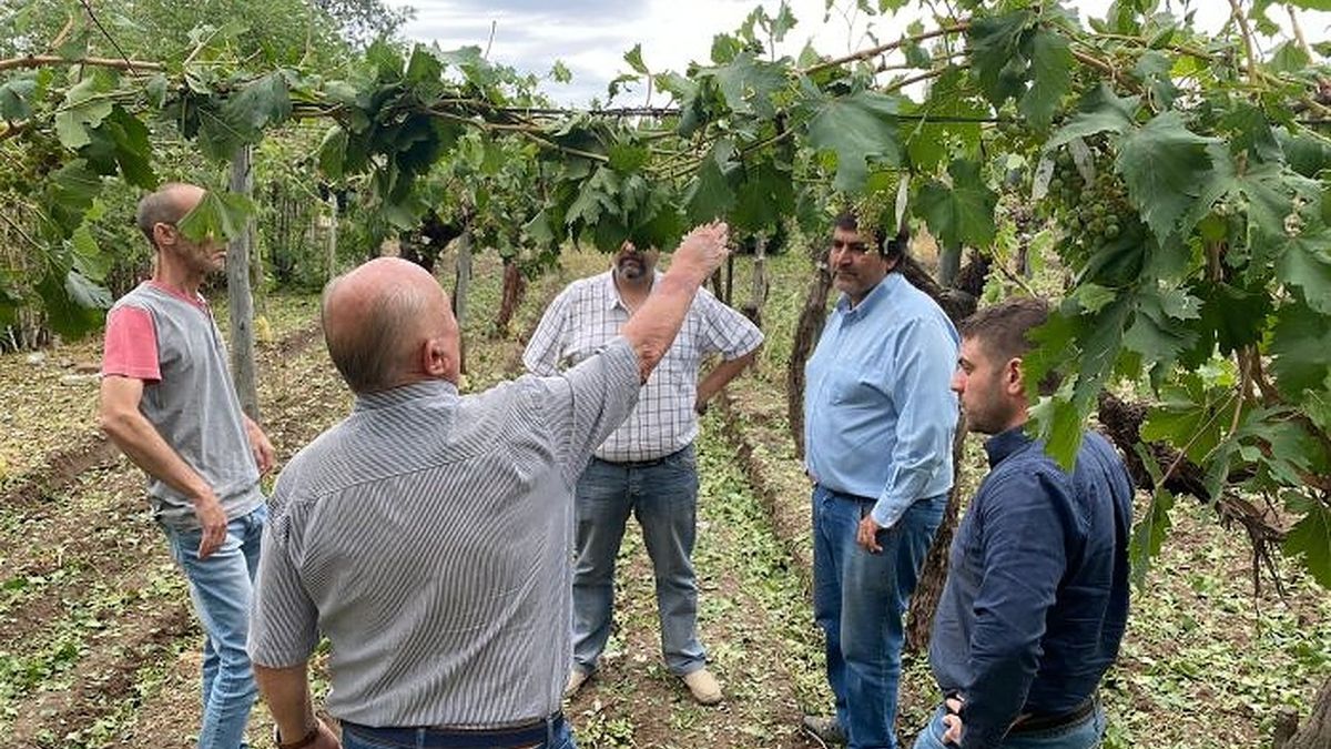 Defensa Civil anticipó un duro pronóstico respecto a los daños causados ...