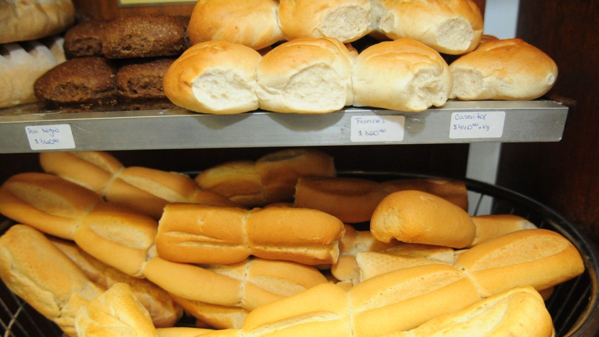 Golpe al bolsillo: aumenta otra vez el pan, cómo hacer para ahorrar