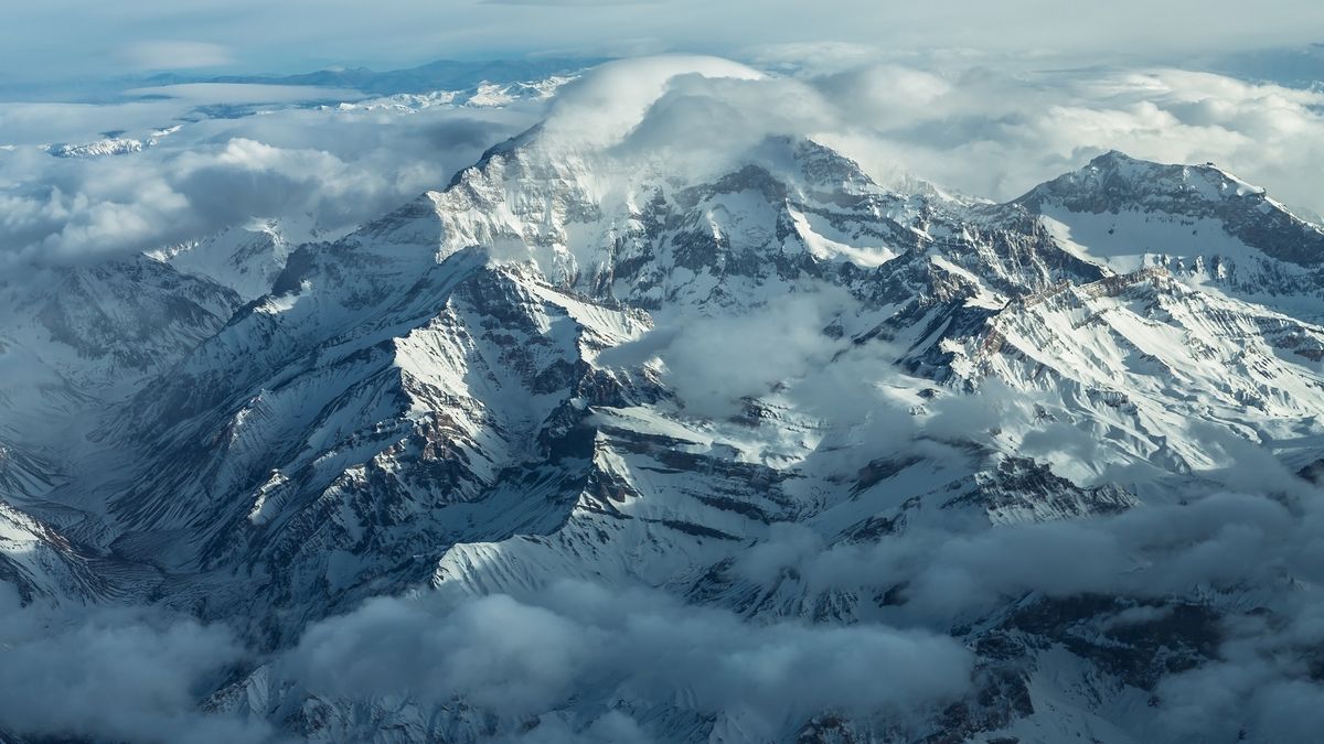 Un estudio reveló un rasgo adaptativo entre las poblaciones de los ...