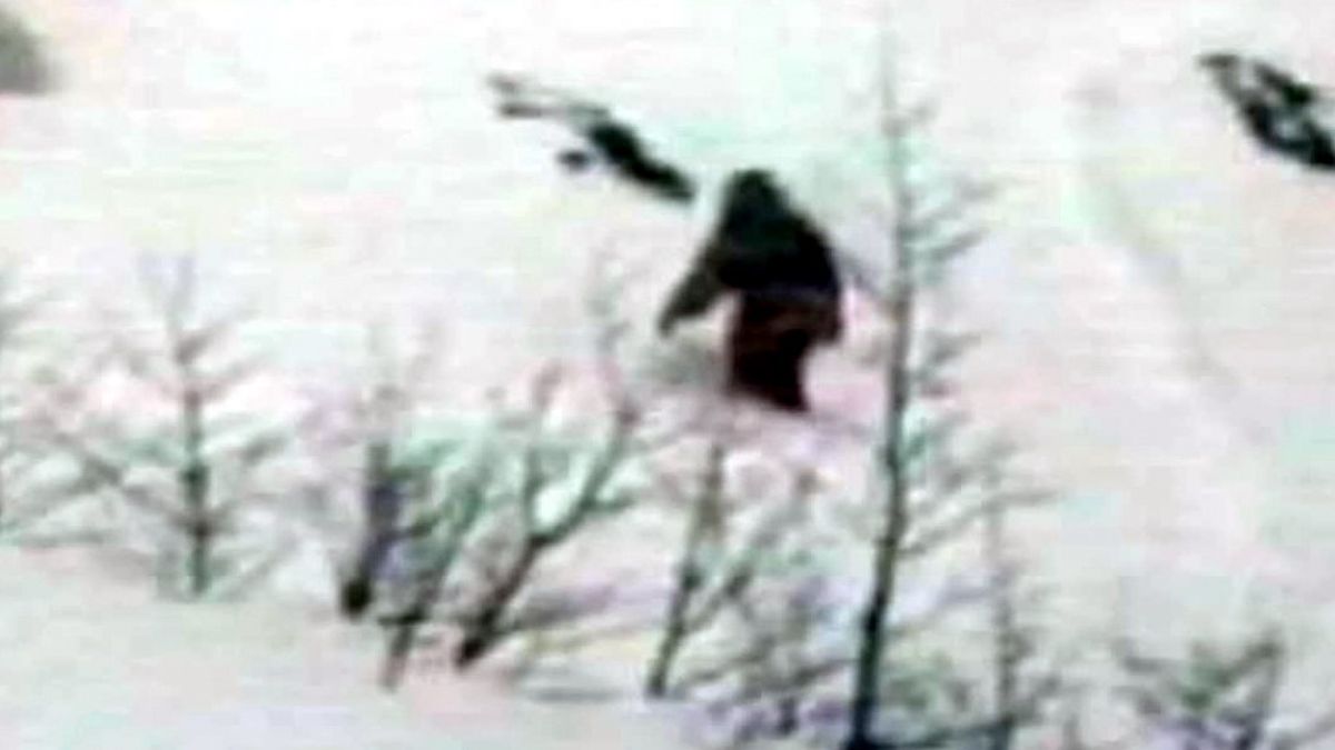 Aseguran haber descubierto quién es y de dónde viene el Yeti