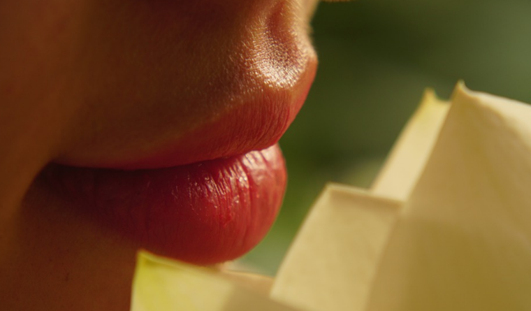 Tres ingredientes naturales para labios que sirven para reemplazar el botox