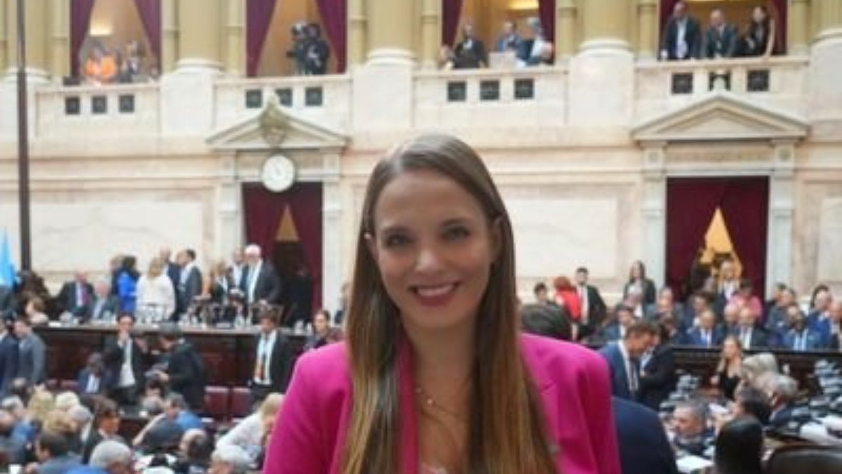 Congreso: una diputada se fue del bloque de Miguel Ángel Pichetto y se ...