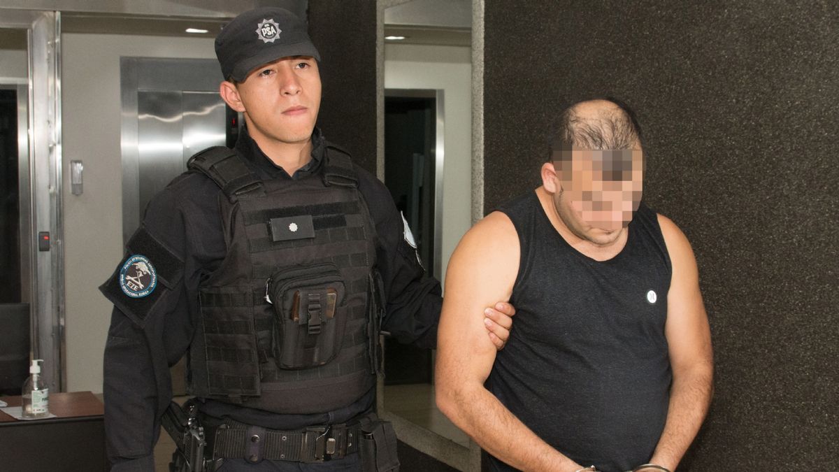 Detuvieron a una banda que con mulas enviaban todo tipo de drogas a ...