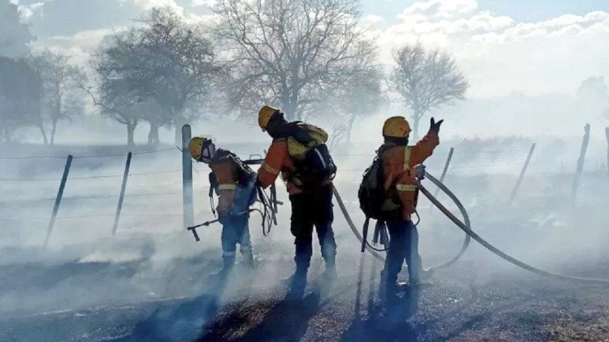 Emergencia por incendios en Salta: intensificaron operativos por viento ...