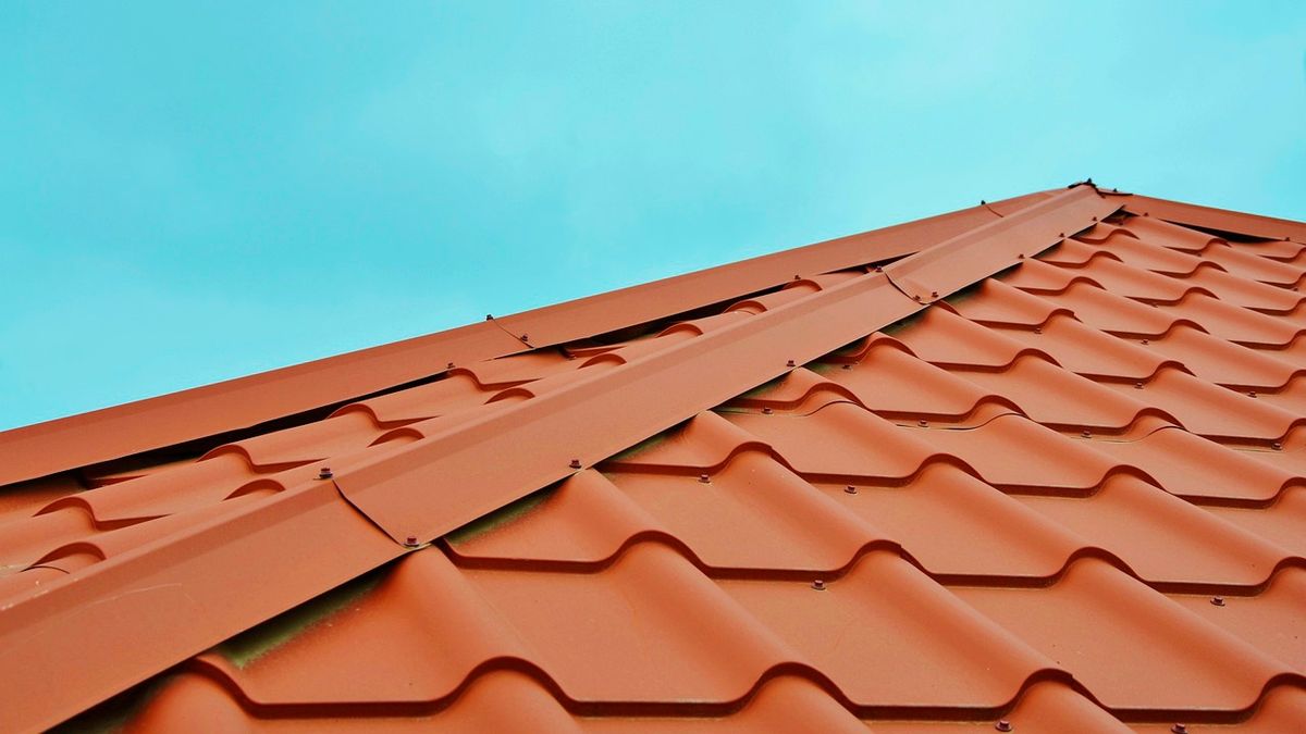 Las 3 plagas más comunes en los techos y qué hacer al respecto