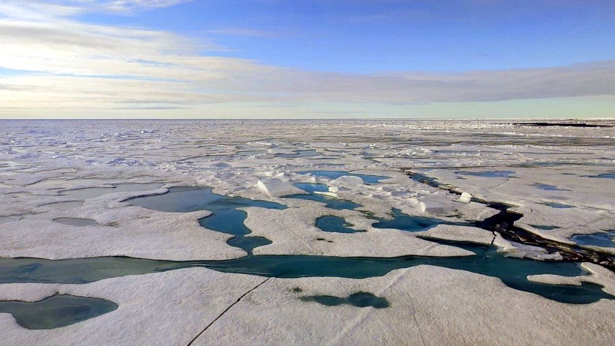 Trágico suceso: primer día sin hielo marino en el Ártico puede darse en 2027
