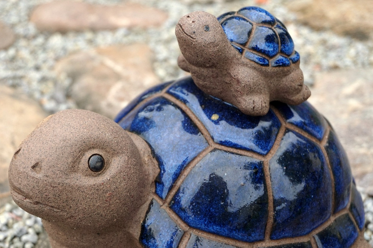 Tortugas: qué significan y dónde ubicarlas para atraer buena suerte ...