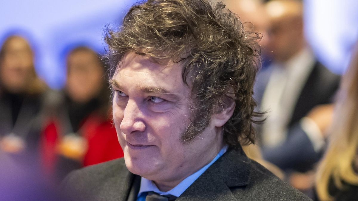 Cómo ha impactado el DNU de Milei en el ámbito local