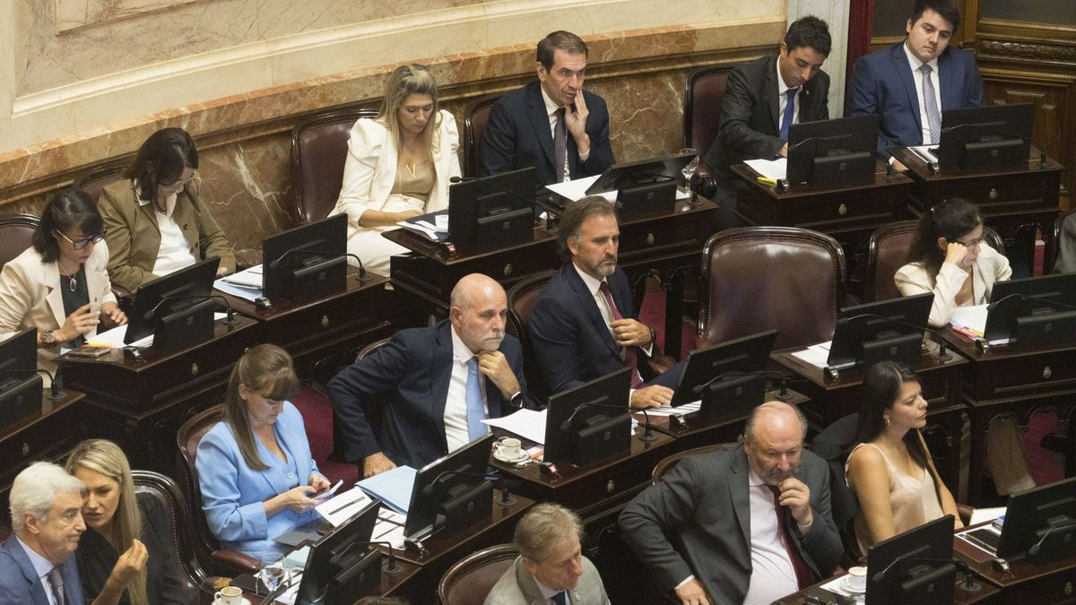 Reforma electoral: la UCR se planta, juega con los votos afirmativos y ...