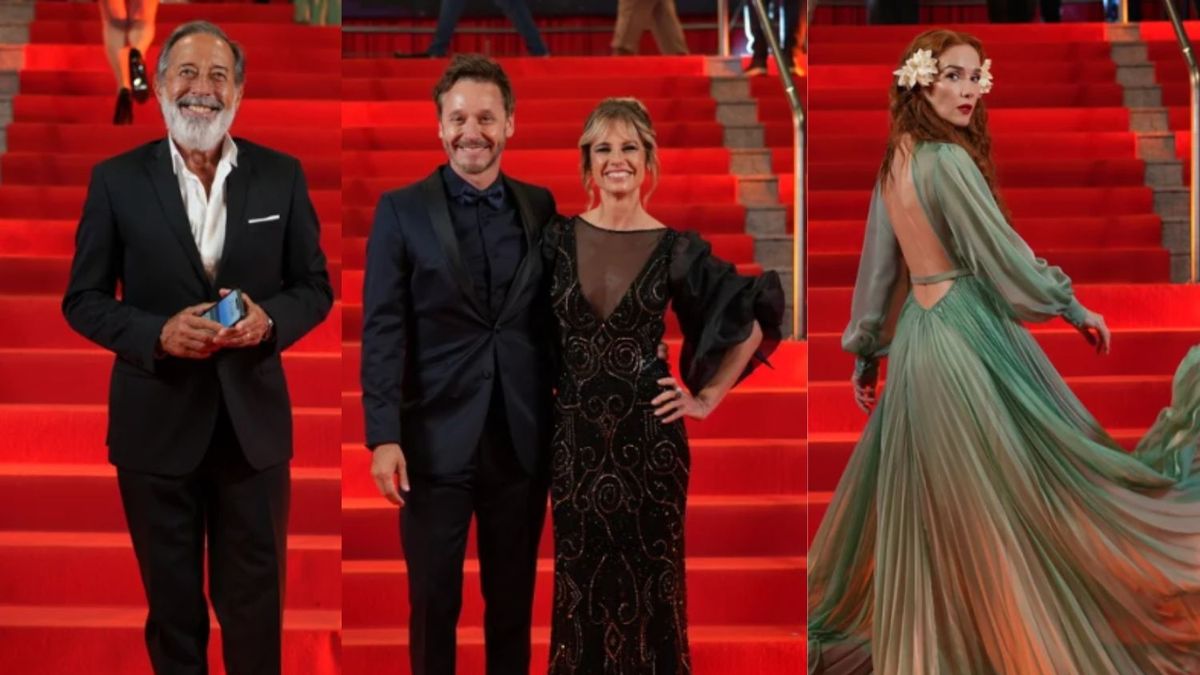 Los sorprendentes looks de los famosos en los Martín Fierro de Cine 2024