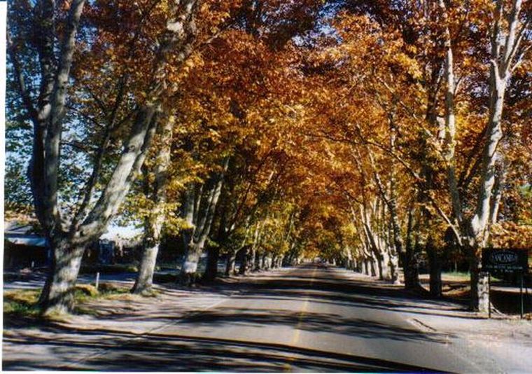 A buscar los abrigos: el otoño promete volver con marcado descenso de ...