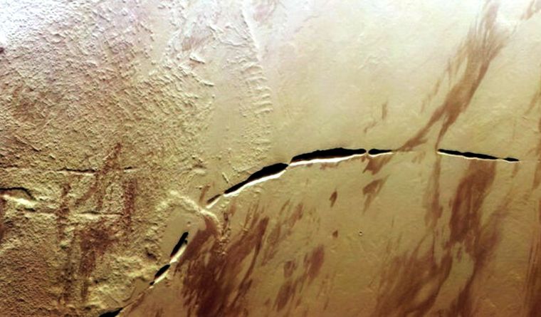 Descubrimiento científico: la serpiente de 600 kilómetros que atraviesa ...