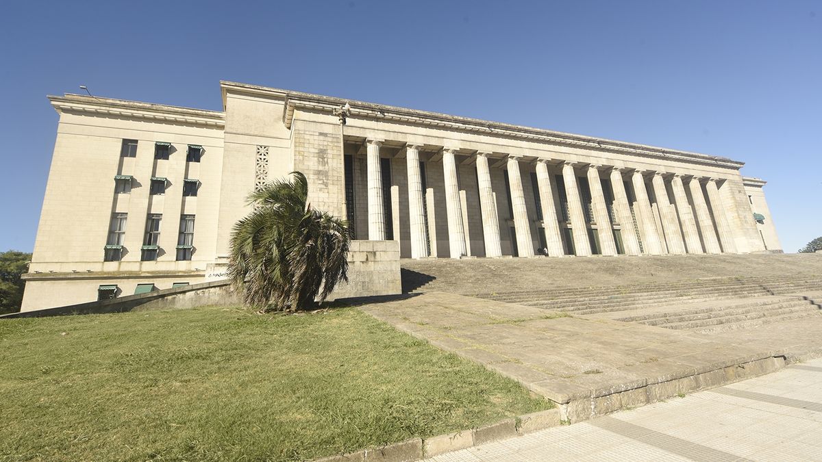 Abogados y la necesidad de construir la affectio societatis