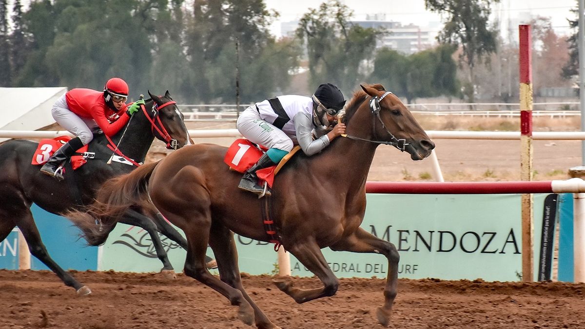 Turf: Stephen South quiere ser la figura del domingo