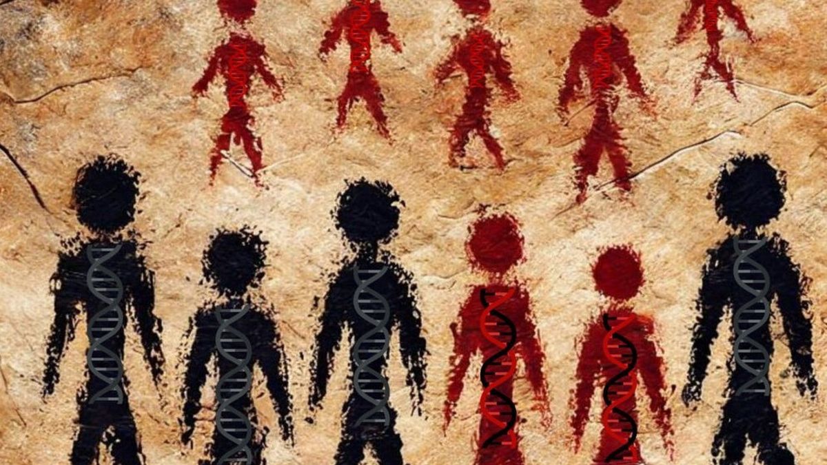 Hallazgo arqueológico: el mestizaje entre neandertales y humanos duró 7 ...