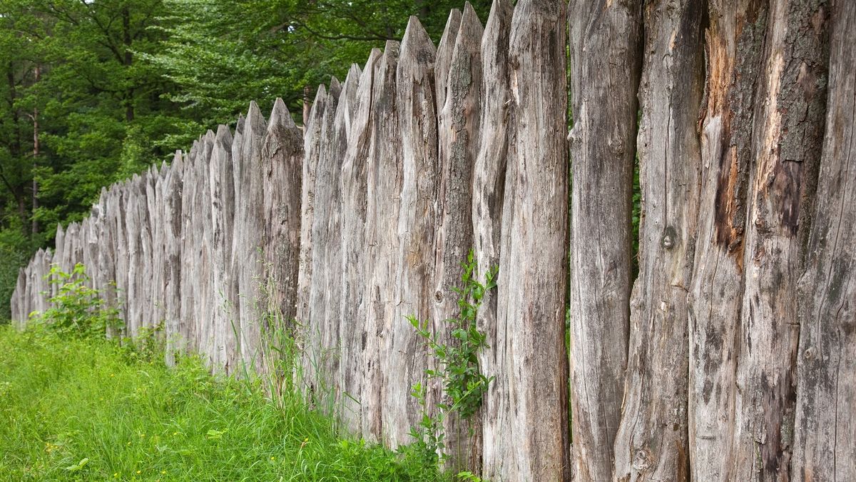 La Roma oculta: descubren un asentamiento más allá de su frontera histórica