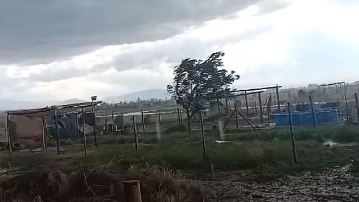 Granizo y ráfagas intensas: los daños que dejó el fuerte temporal en ...