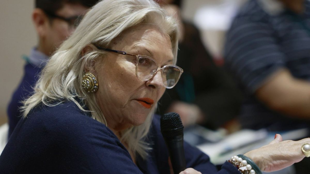 Elisa Carrió atendió al Gobierno nacional y lanzó su candidatura a diputada
