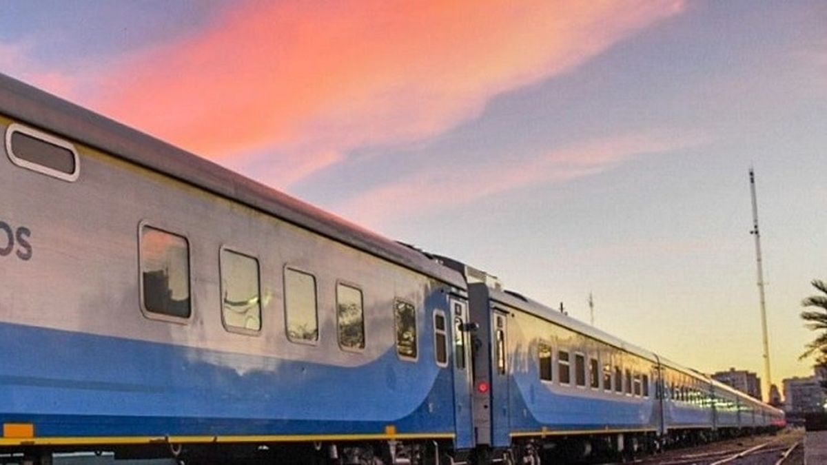 Largas filas y sistema caído: sigue el caos por los pasajes de tren a la Costa