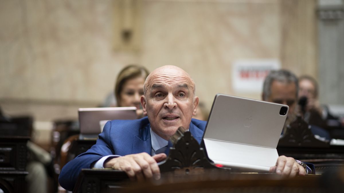 José Luis Espert y un tajante análisis tras la agresión a Sergio Berni ...