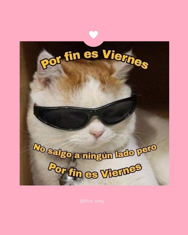 Es viernes y las redes se llenan de memes, alivio y ganas de desconectar