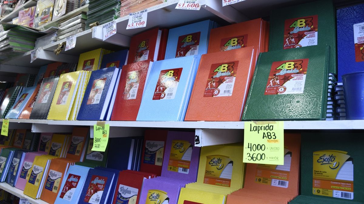 Ayuda Escolar de Anses: qué hacer si aún no presentaste el Certificado ...