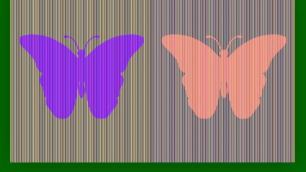 El sorprendente acertijo visual de la mariposa que no todos logran resolver