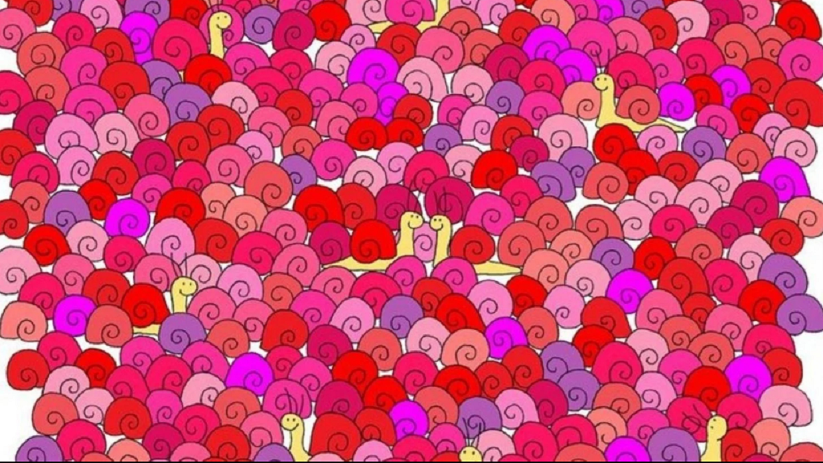 Acertijo visual: solo las personas con vista de halcón logran ver el ...