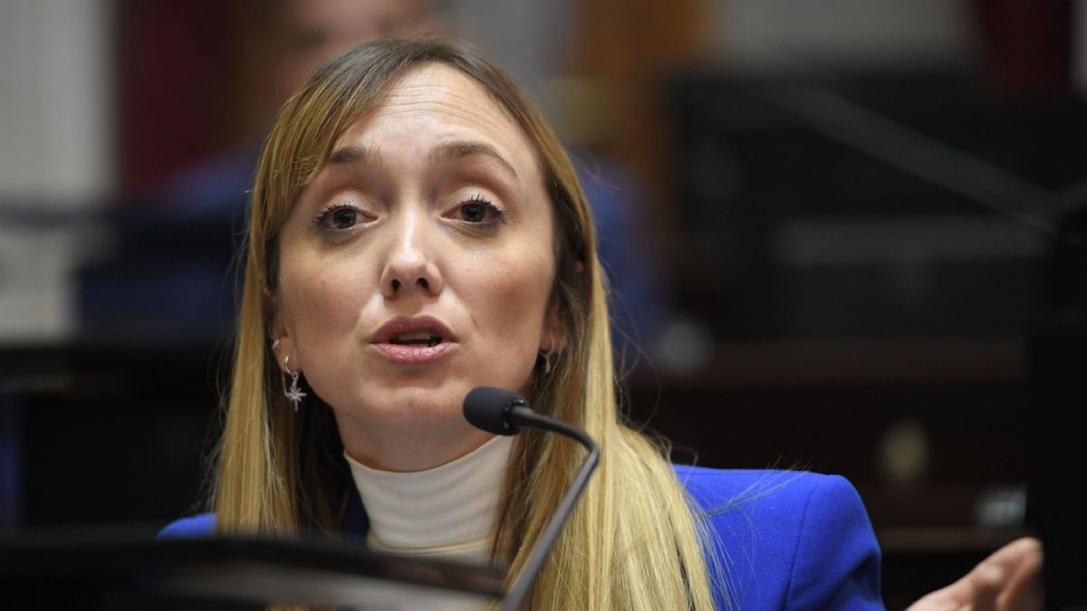 La filosa respuesta de Anabel Fernández Sagasti tras la advertencia de ...